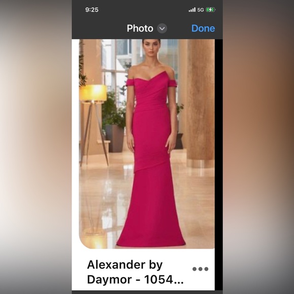 Alexander By Daymor | Dresses | Alexander By Daymor Size 2 Gown Zip Off ...